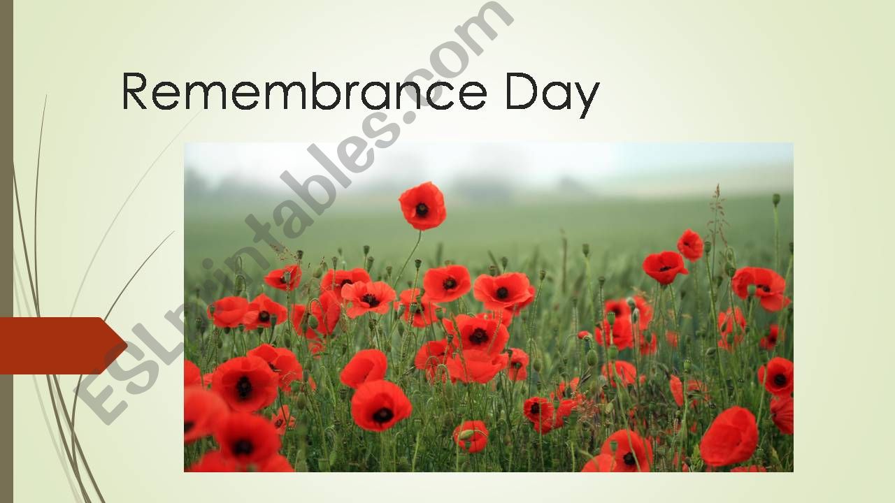ESL - English PowerPoints: Remembrance Day workshop