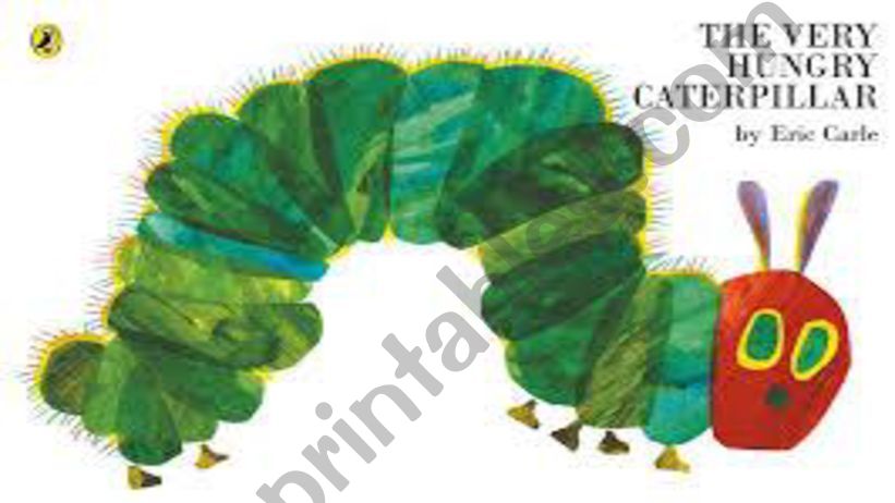 ESL - English PowerPoints: the very hungry caterpillar story questions ...
