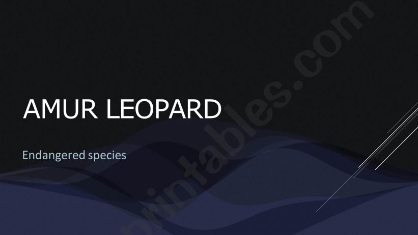 ESL - English PowerPoints: Amur Leopard