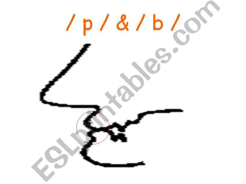 esl-english-powerpoints-english-plosive-and-fricative-sounds