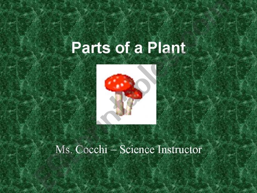 ESL - English PowerPoints: Parts of a Plant
