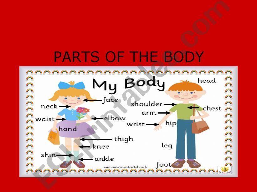 ESL - English PowerPoints: PARTS OF THE BODY