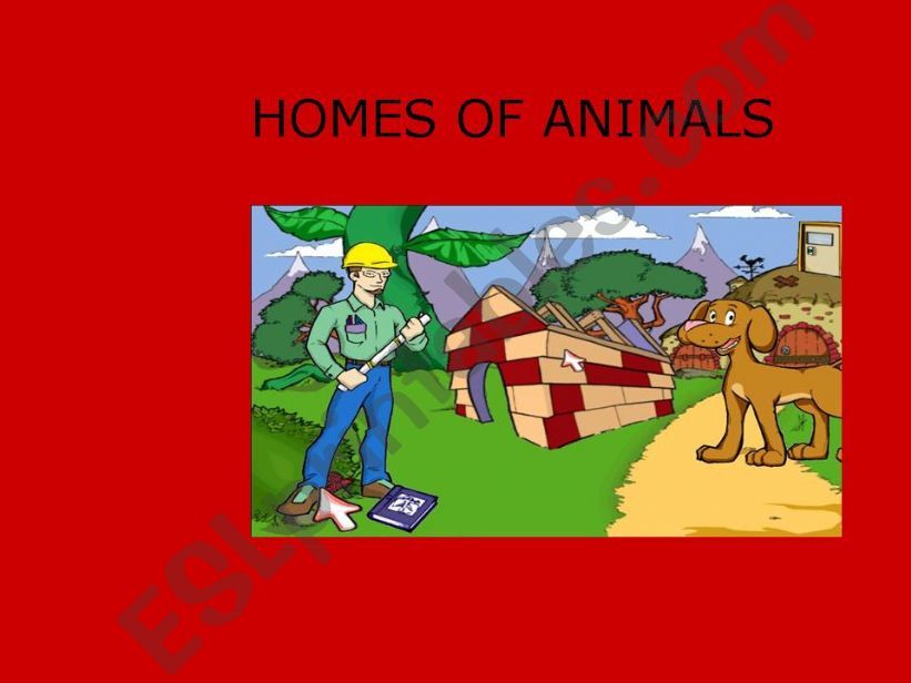 ESL - English PowerPoints: HOMES OF ANIMALS