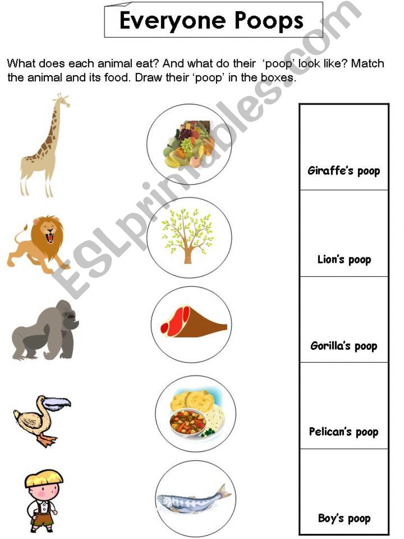 ESL - English PowerPoints: everyone poops