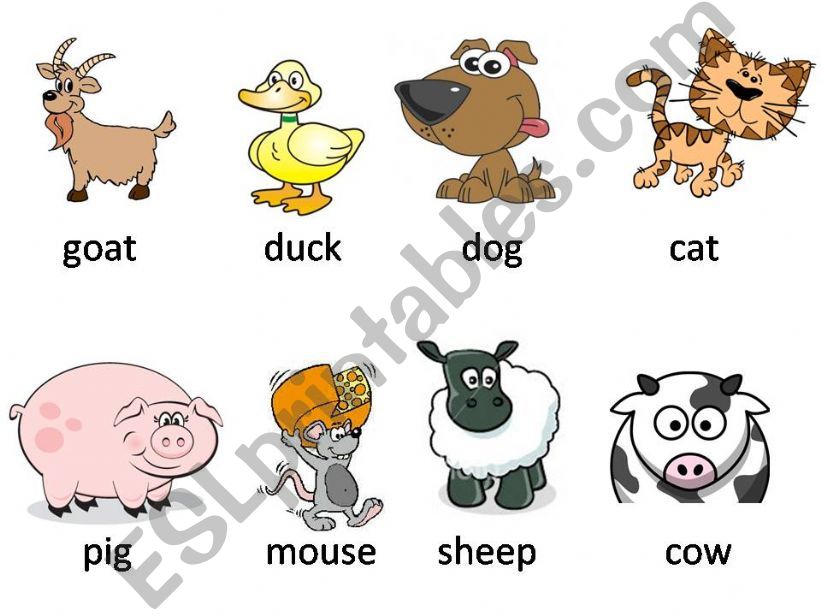 ESL - English PowerPoints: Animal Flashcards