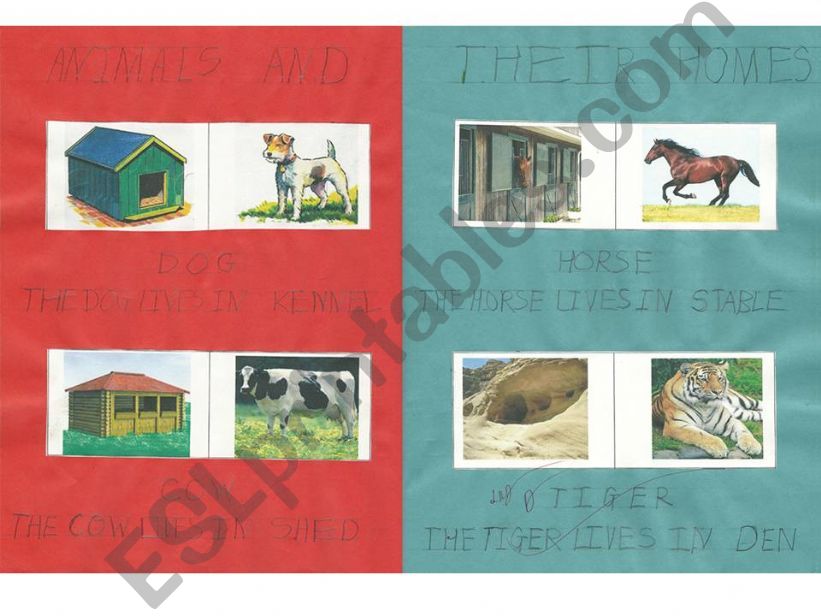 ESL - English PowerPoints: Animals and their homes Dev