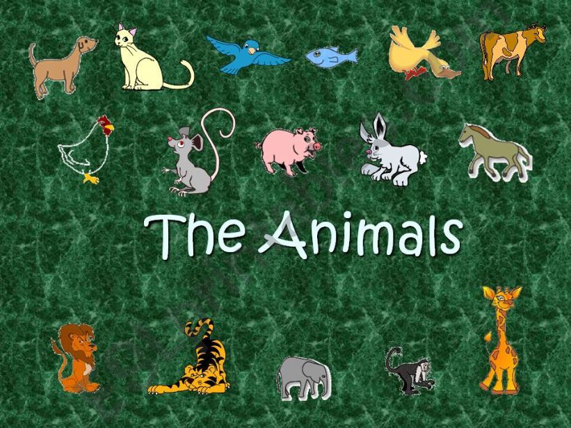 ESL - English PowerPoints: THE ANIMALS