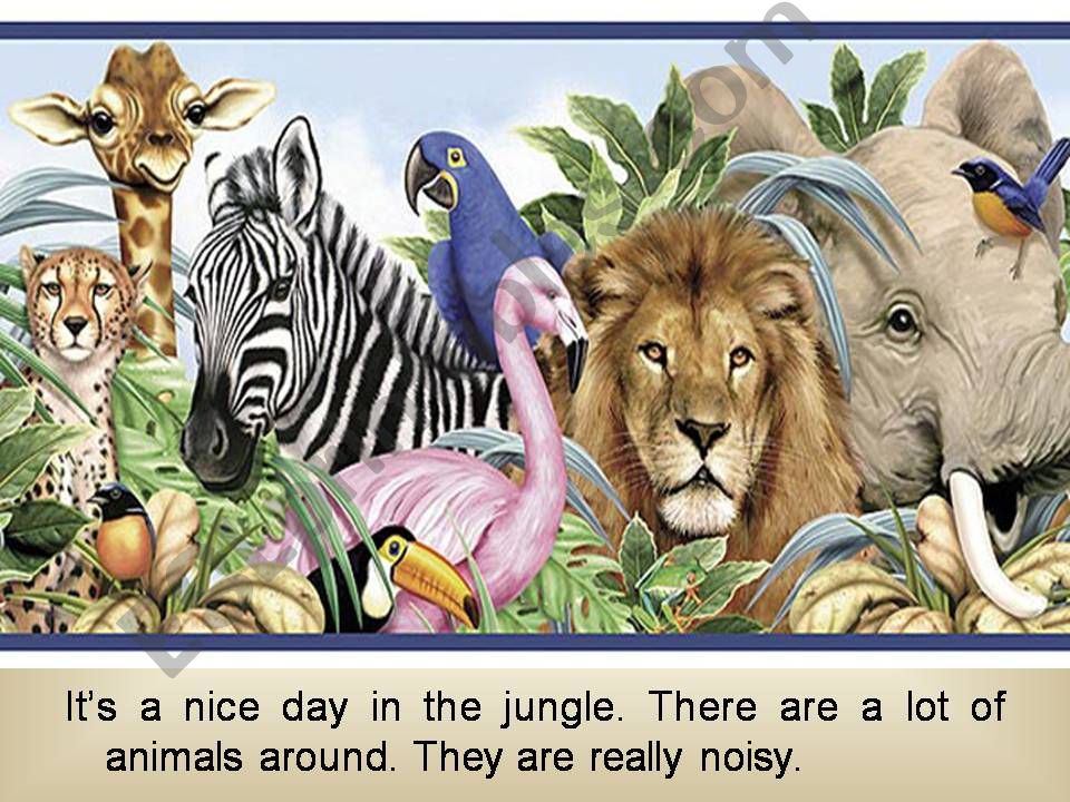 ESL - English PowerPoints: ANiMALS