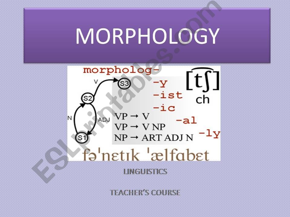 ESL - English PowerPoints: MORPHOLOGY