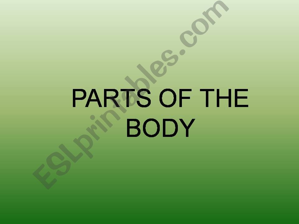 ESL English PowerPoints PARTS OF THE BODY