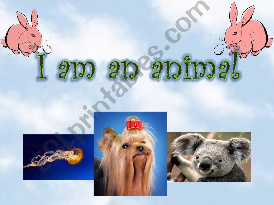 ESL - English PowerPoints: I am an animal
