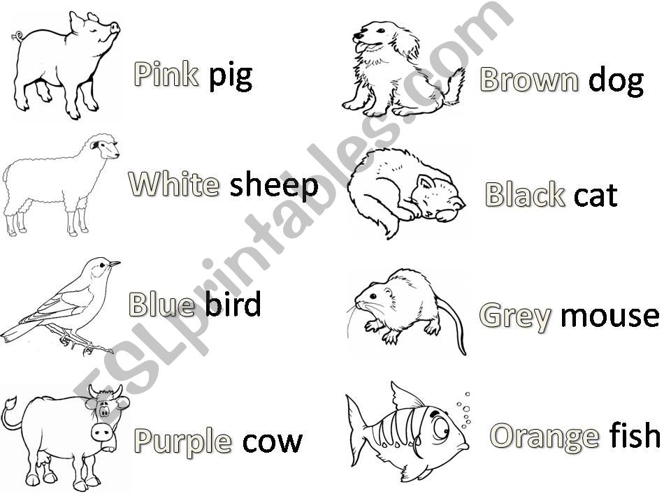 ESL - English PowerPoints: Colour the Animals