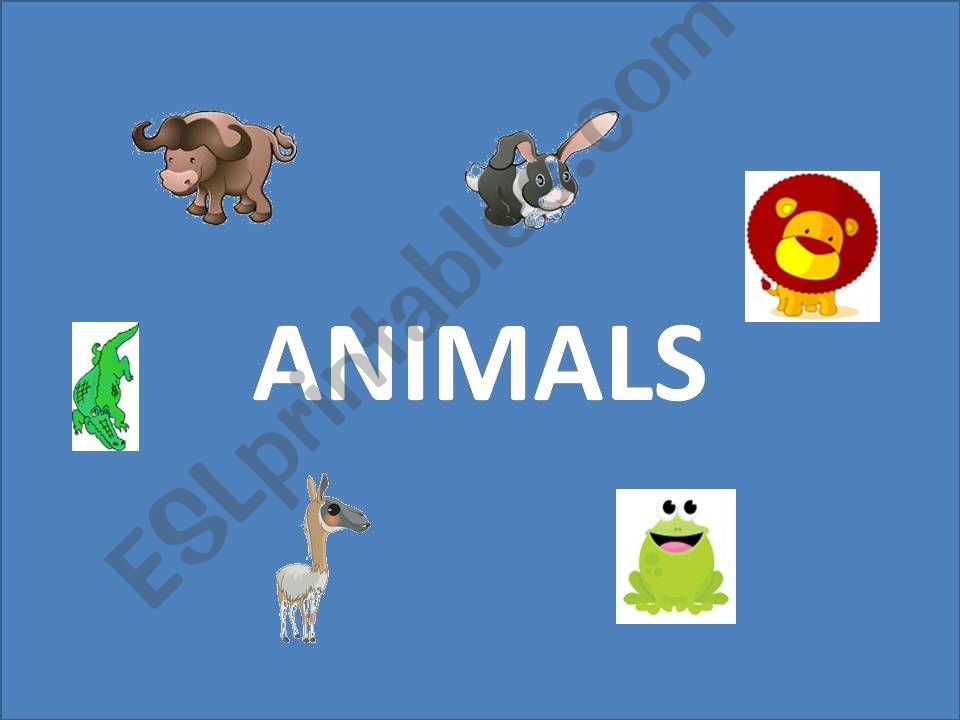 ESL - English PowerPoints: My Animals