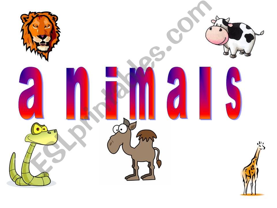 ESL - English PowerPoints: Animals
