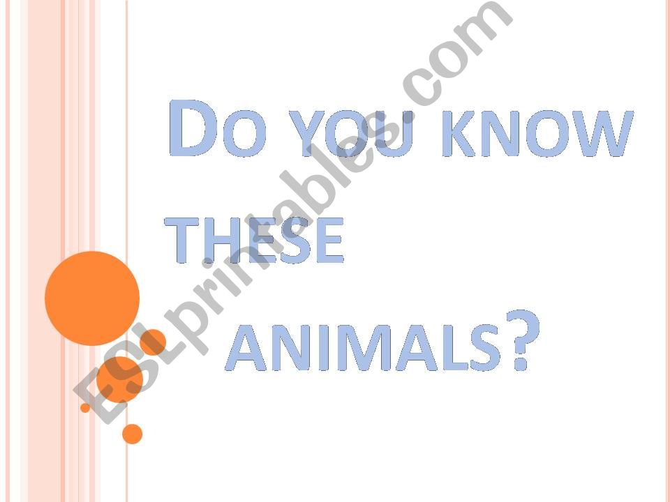ESL - English PowerPoints: Animals