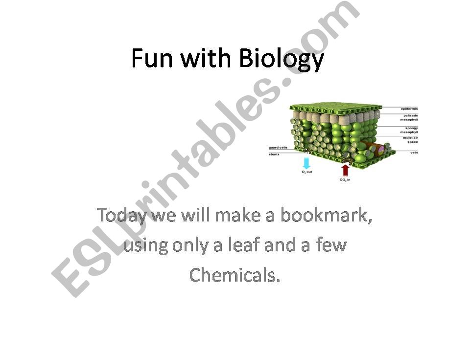 ESL - English PowerPoints: Fun with biology