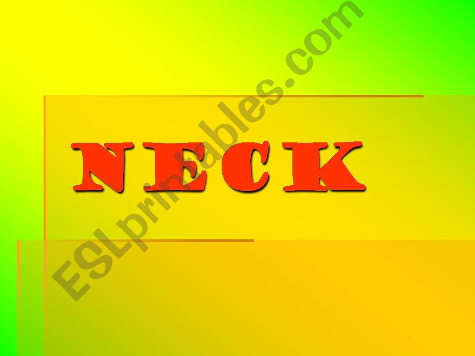 ESL English PowerPoints Parts Of The Body