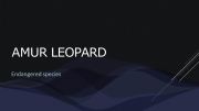 ESL - English PowerPoints: Amur Leopard