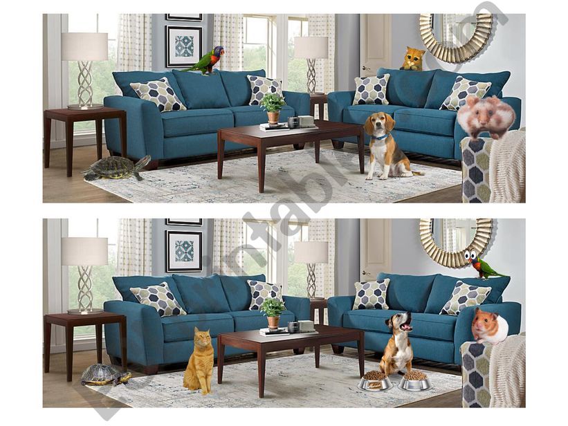 ESL - English PowerPoints: Find the difference