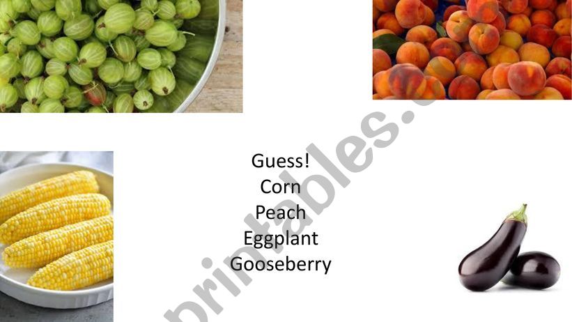 ESL - English PowerPoints: Guess