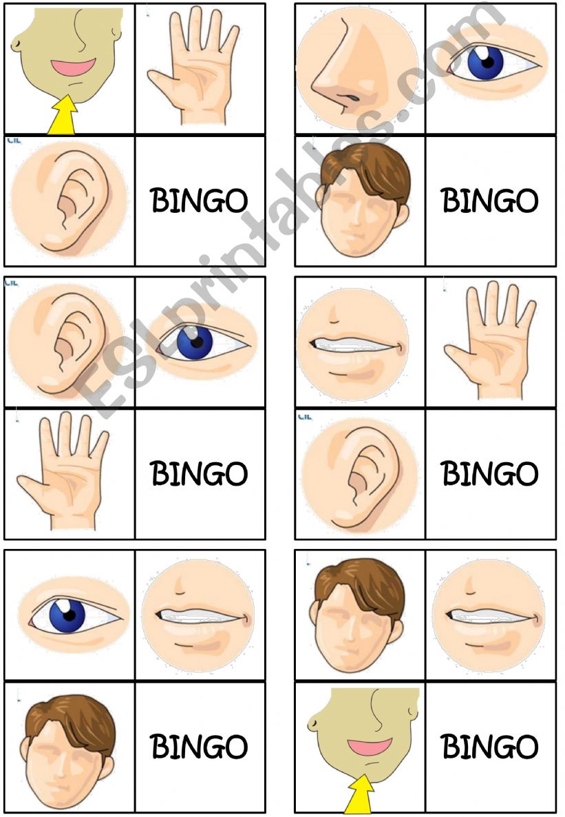 ESL - English PowerPoints: body parts