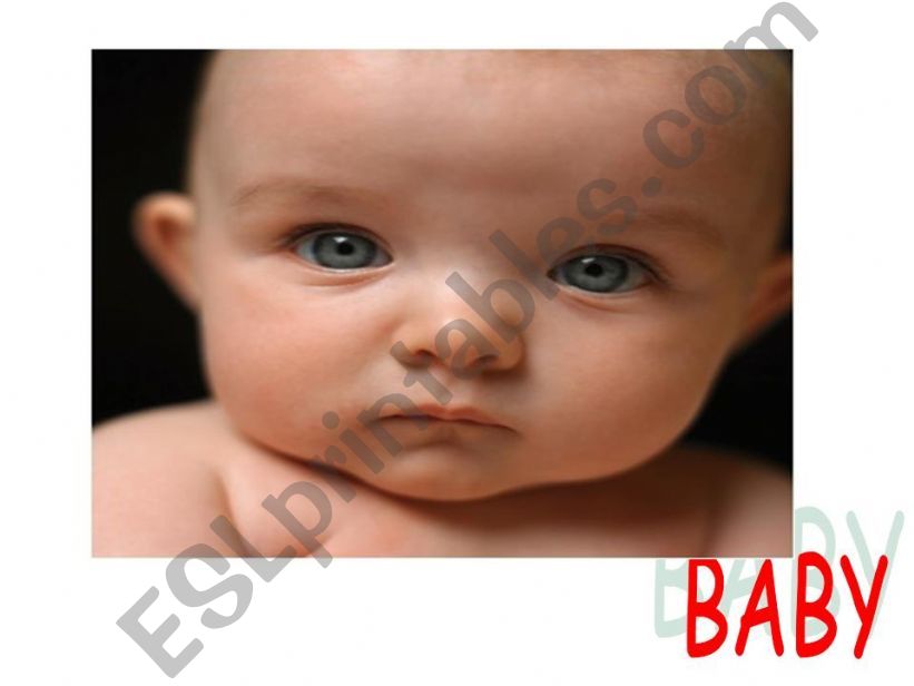 ESL - English PowerPoints: My First Vocabulary