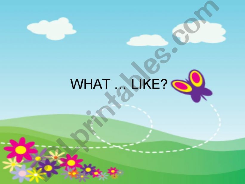 ESL - English PowerPoints: What ... like?