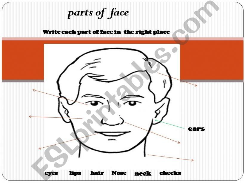 ESL - English PowerPoints: parts of face