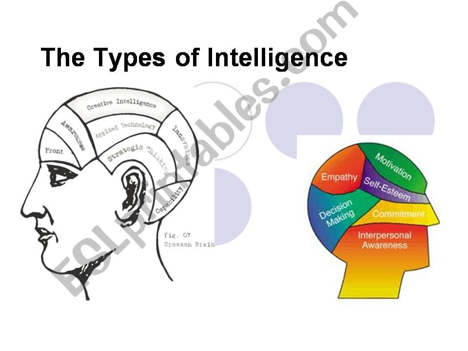 ESL - English PowerPoints: The types of Intellýgence