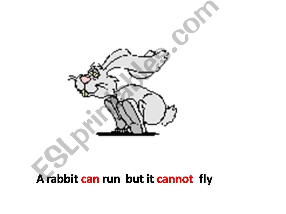 ESL - English PowerPoints: what animals can/cannot do