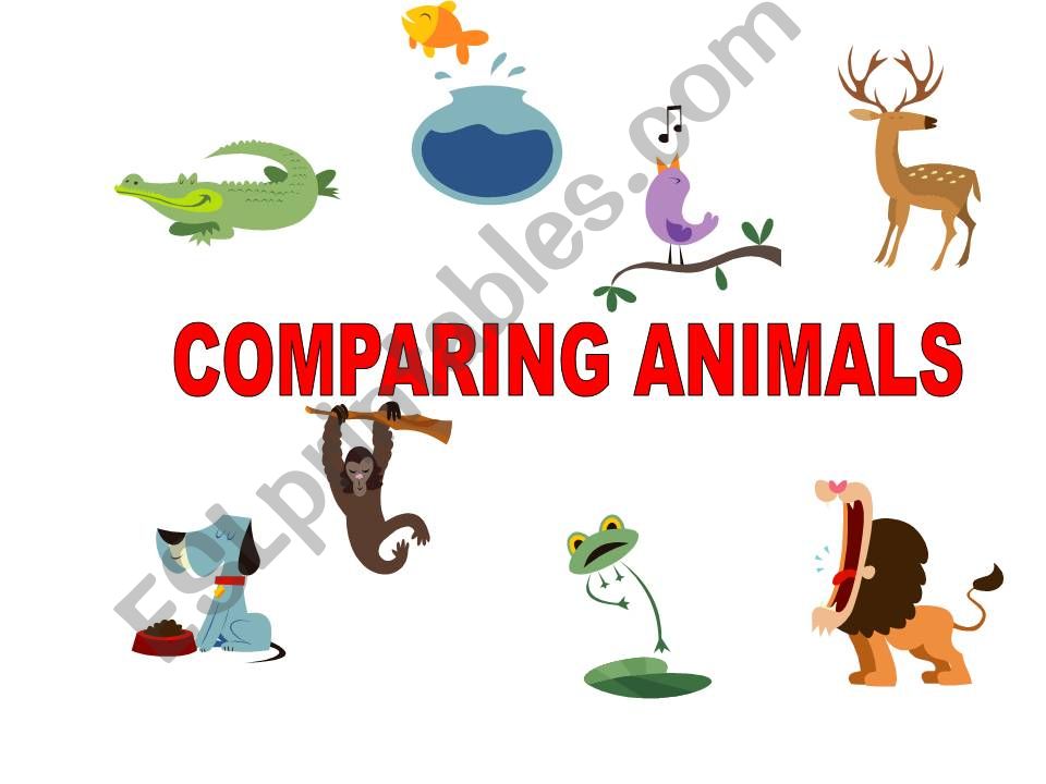 ESL - English PowerPoints: comparative animals
