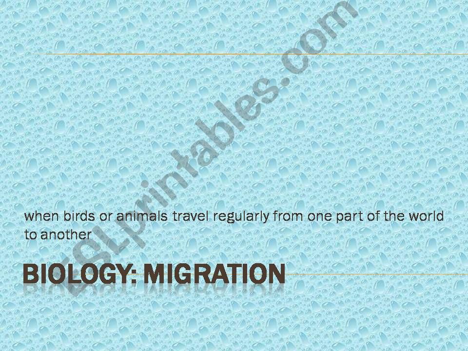 ESL - English PowerPoints: Biology: Migration