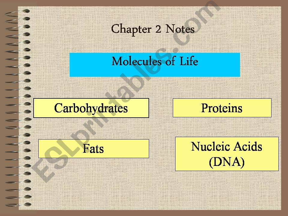 ESL - English PowerPoints: Molecules of Life