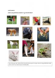 The animals worksheets