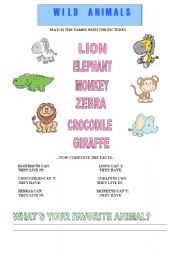 The animals worksheets