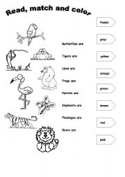 The animals worksheets
