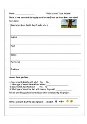The animals worksheets