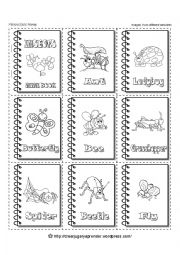 Insects worksheets
