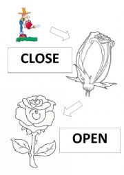 English Exercises: open and close
