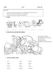 Animals test worksheets