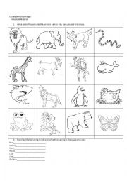 The animals worksheets