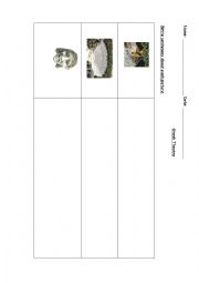 The theatre worksheets