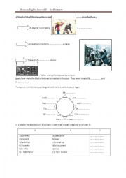 Human rights worksheets