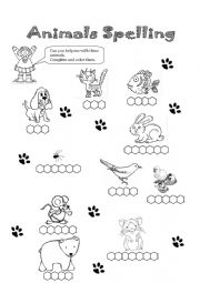 Spelling worksheets