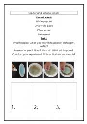 Surface Tension Worksheet