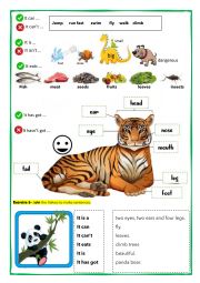 The animals worksheets