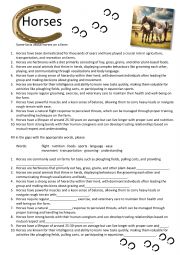 The animals worksheets