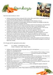 The animals worksheets