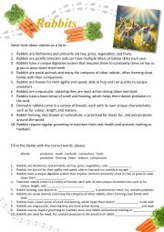 The animals worksheets