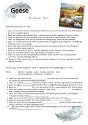 Farm animals worksheets